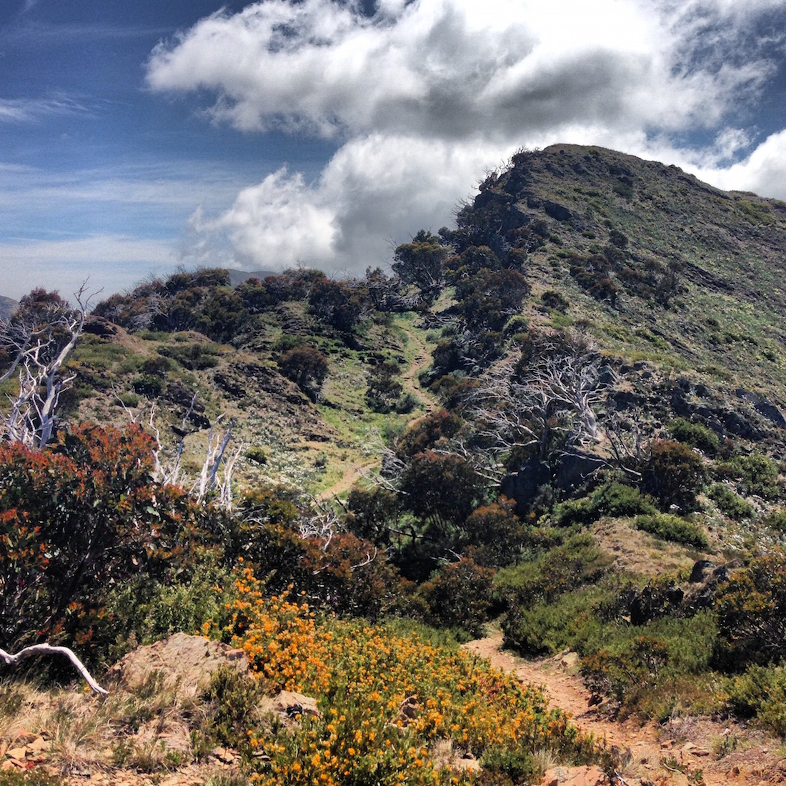 Bogong mountain ranges, Victoria