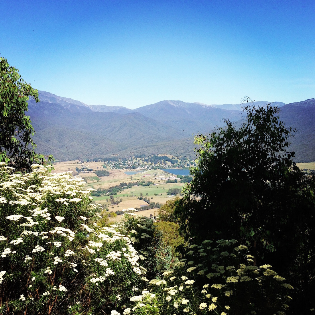 Bogong mountain ranges, Victoria