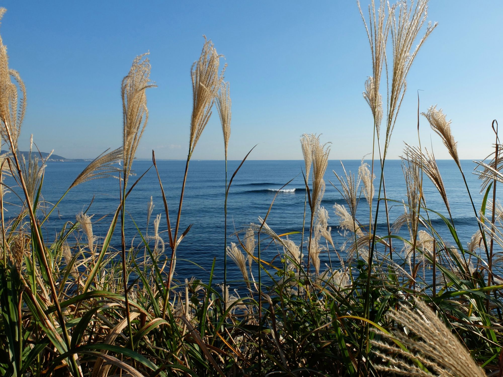 Kamakura, Japan