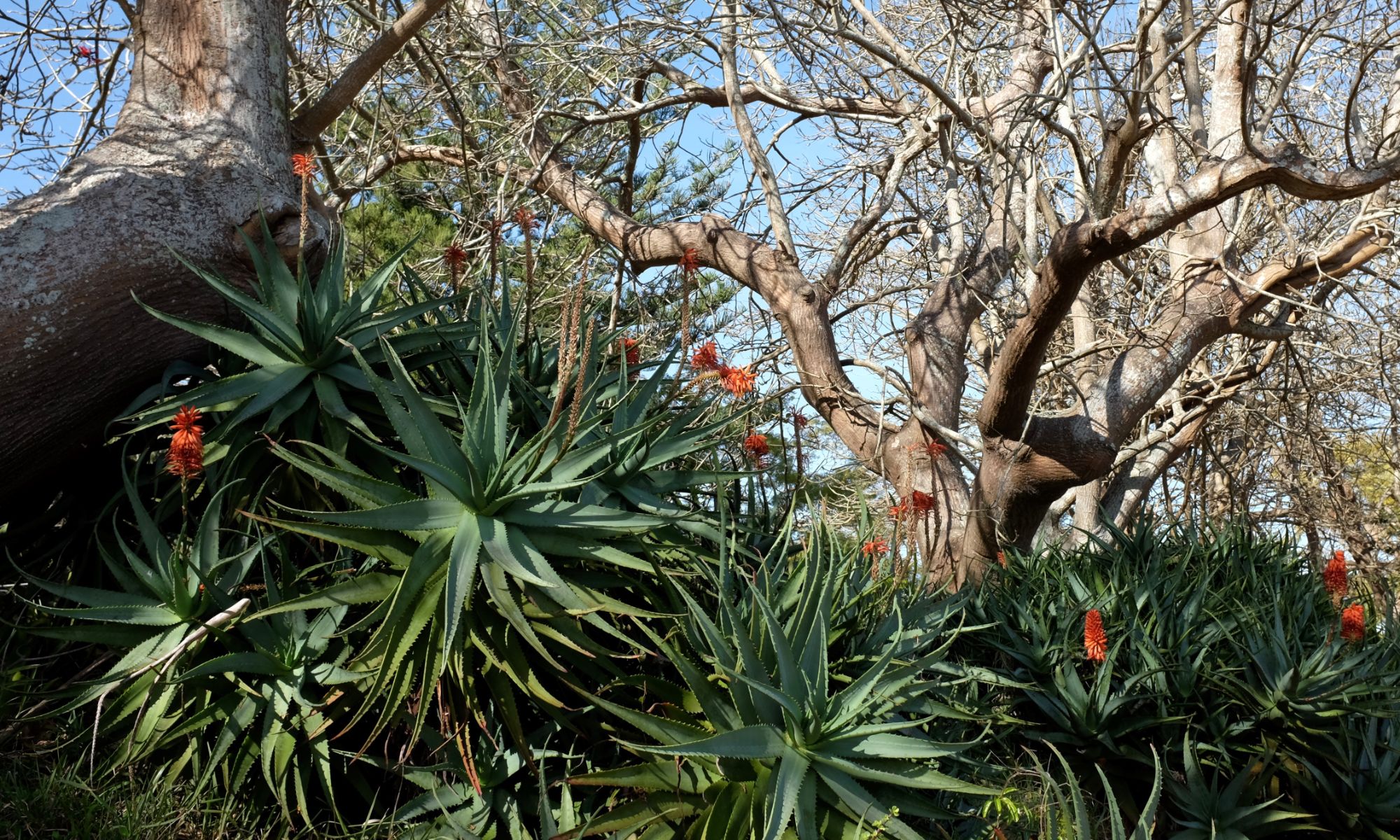 A weekend escape to Patonga, NSW